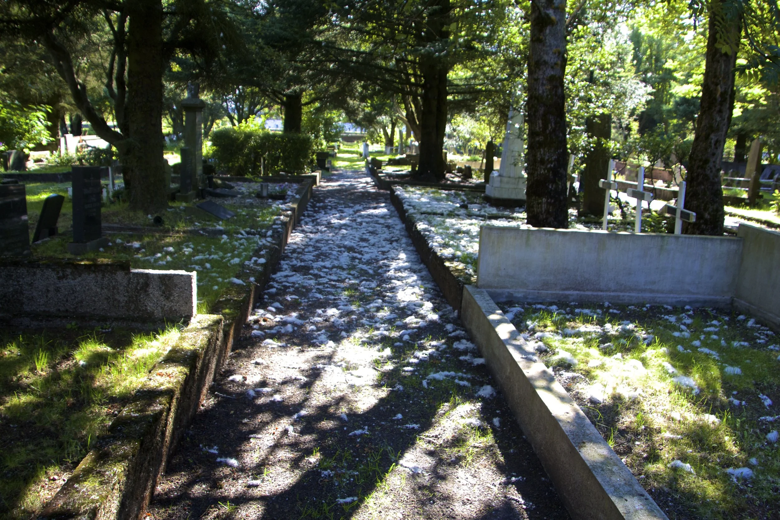 Hólavallagarður Cemetery | Peter's Big Adventure