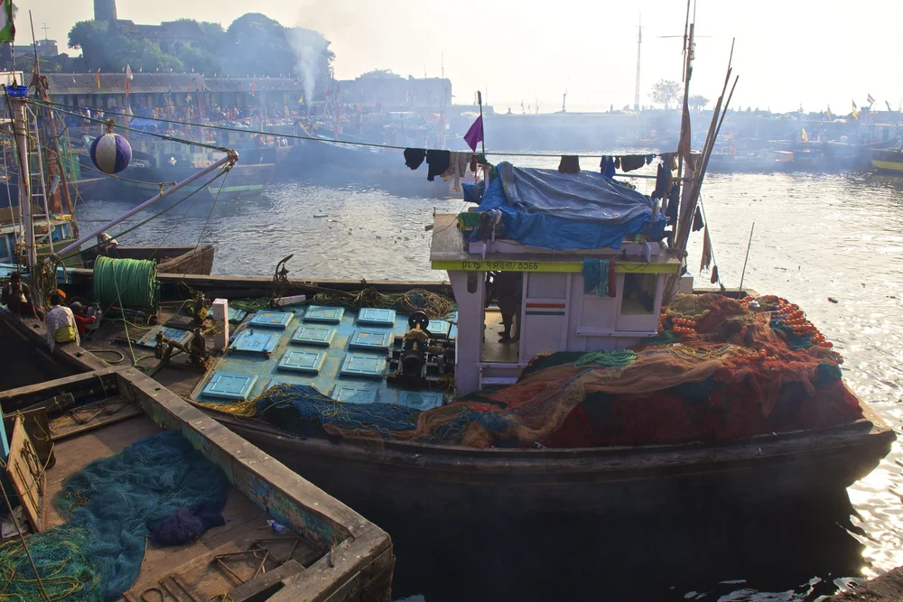 Peter Explores Mumbai's Legendary Sassoon Docks | Peter's Big Adventure