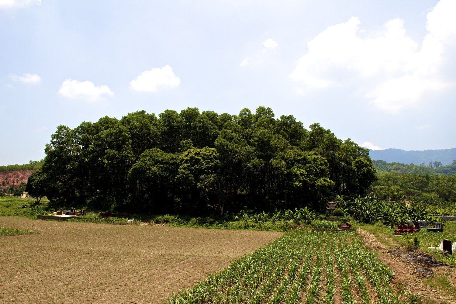 Peter Summits Vietnam's Ba Vì Mountain (On His 2nd Try) | Peter's Big ...