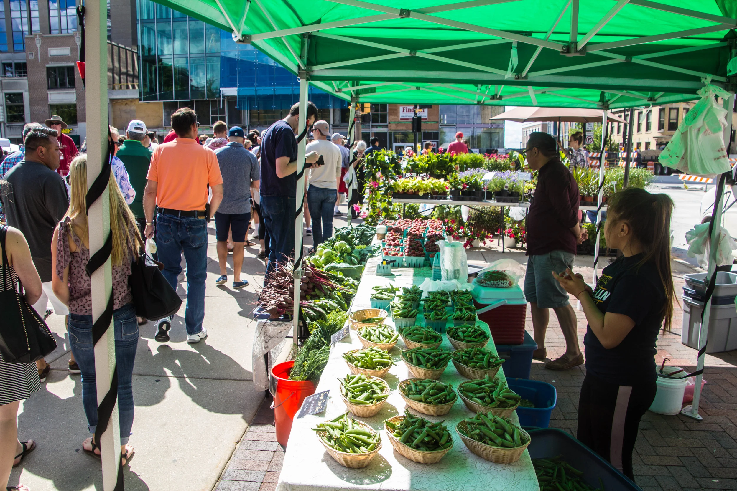 Peter's Weekend In Madison, Wisconsin | Peter's Big Adventure