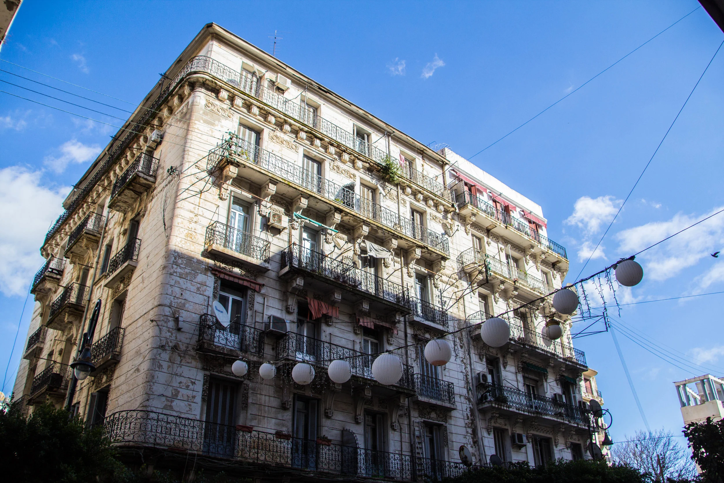 Peter In Algiers: An Introduction | Peter's Big Adventure