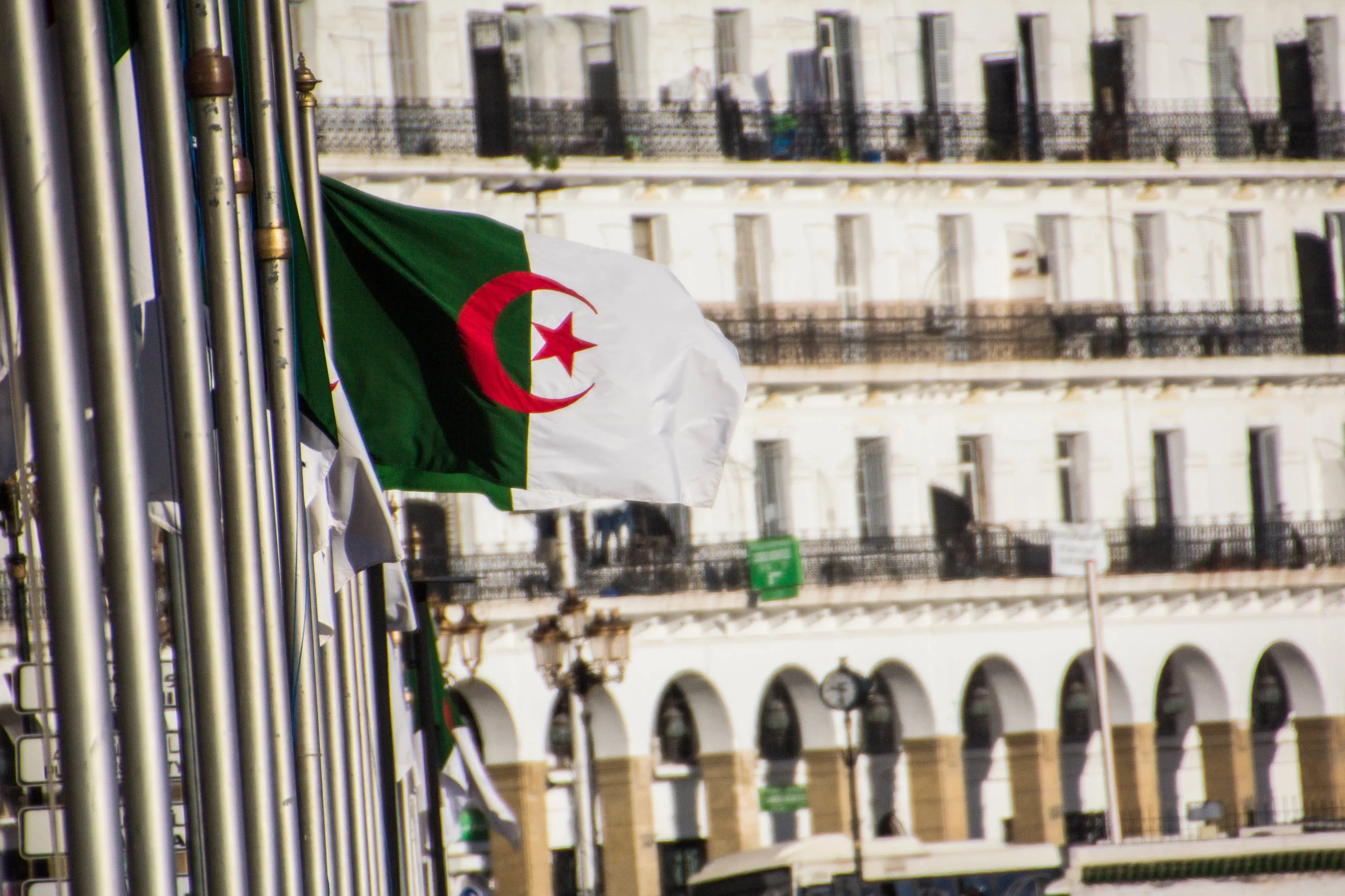Peter In Algiers: An Introduction | Peter's Big Adventure
