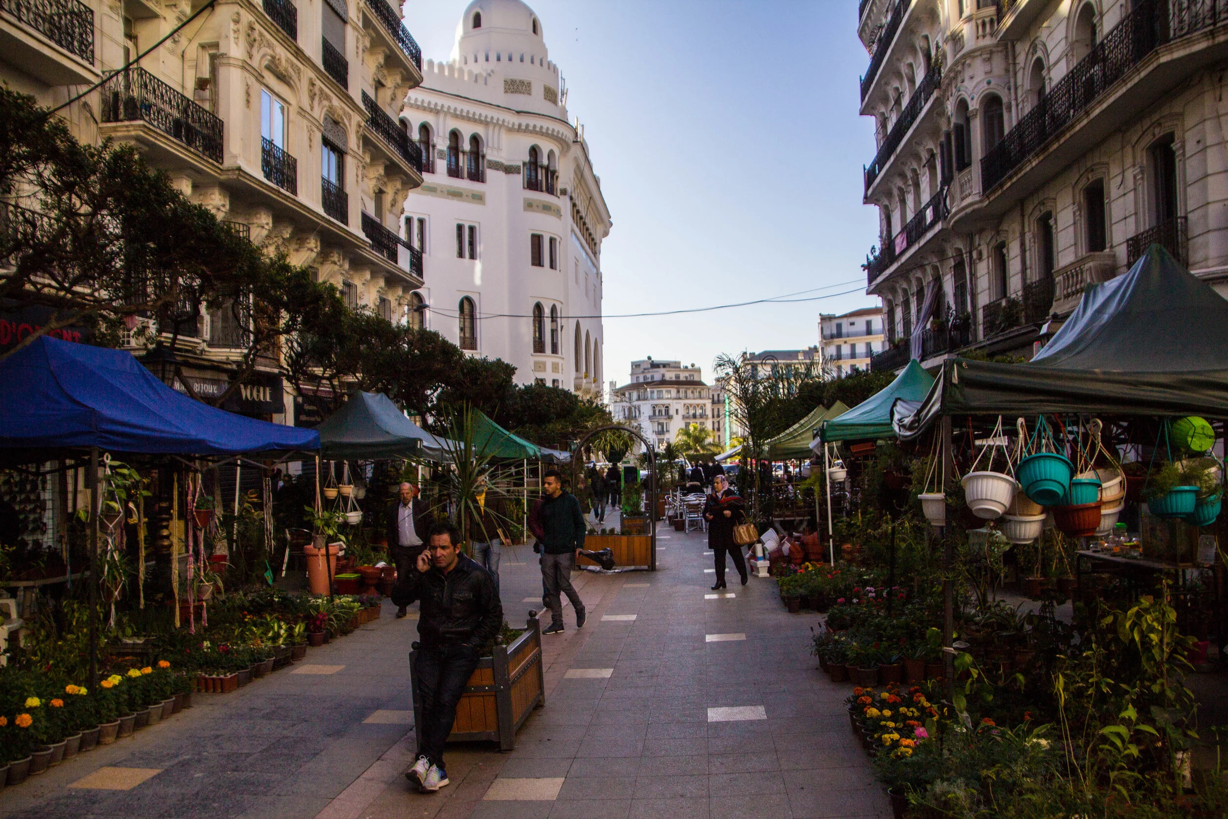 Peter In Algiers: An Introduction | Peter's Big Adventure