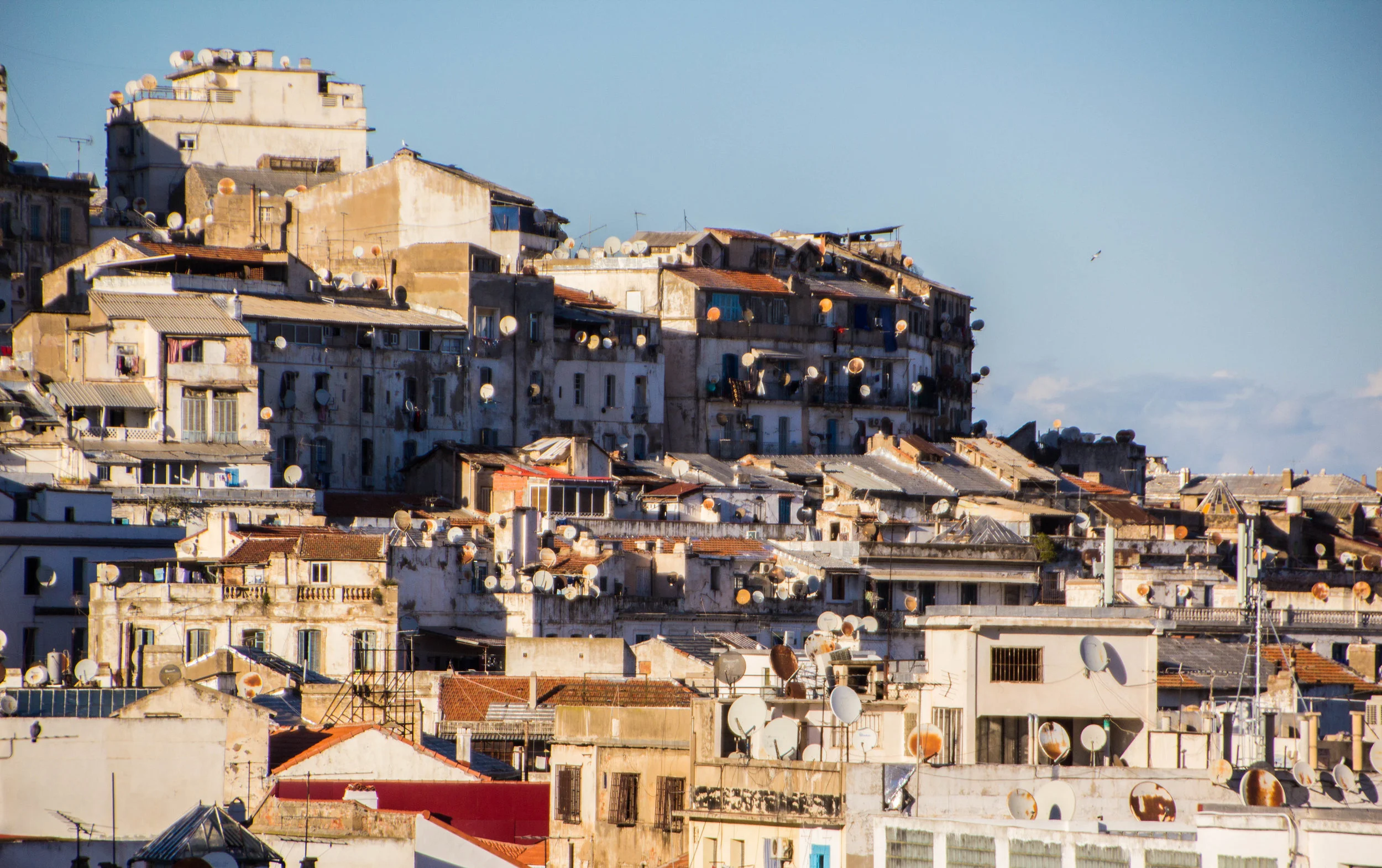 Peter In Algiers: An Introduction | Peter's Big Adventure