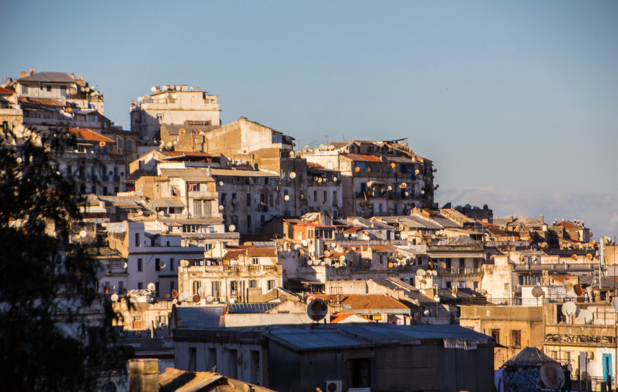 Peter In Algiers: An Introduction | Peter's Big Adventure