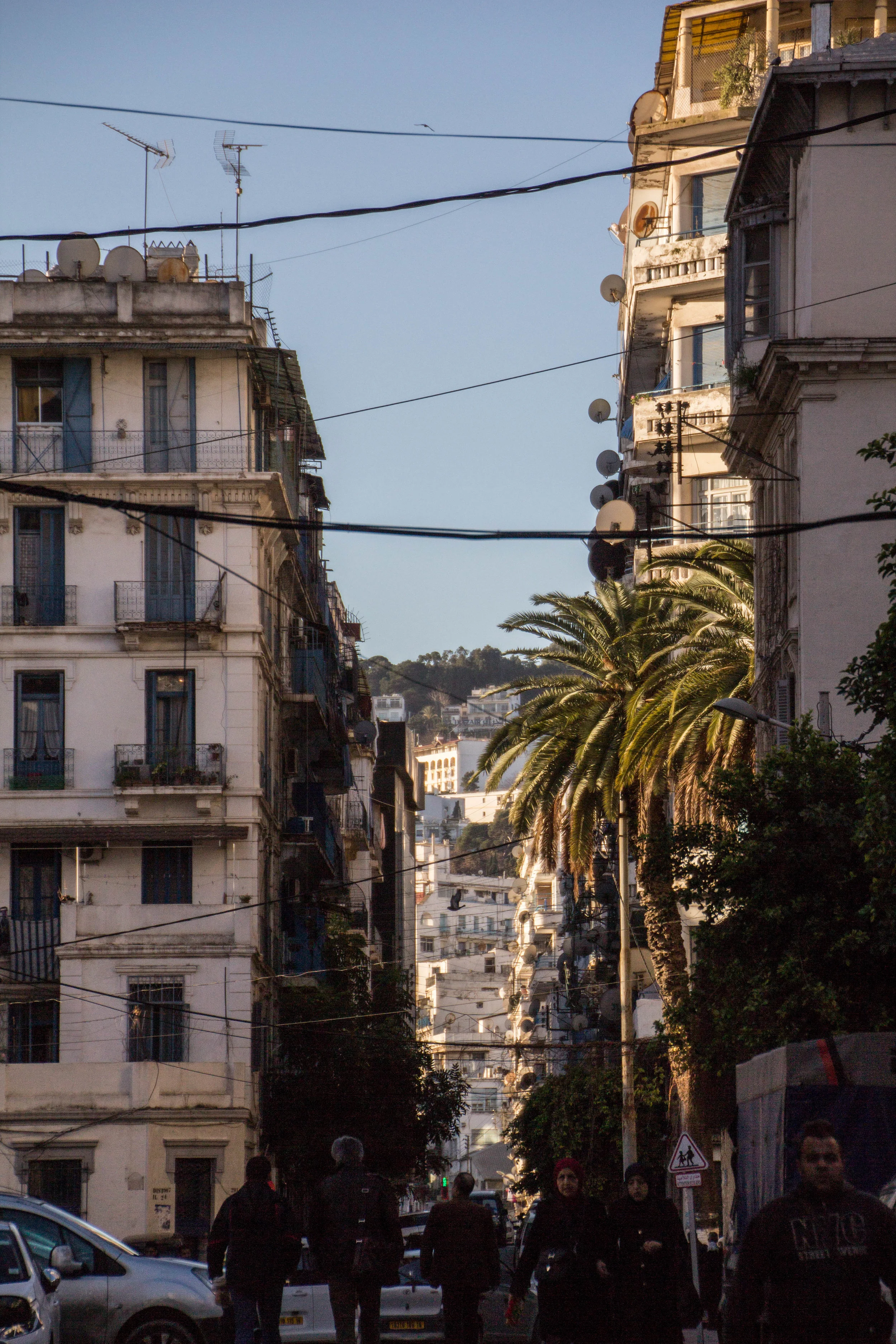 Peter In Algiers: An Introduction | Peter's Big Adventure
