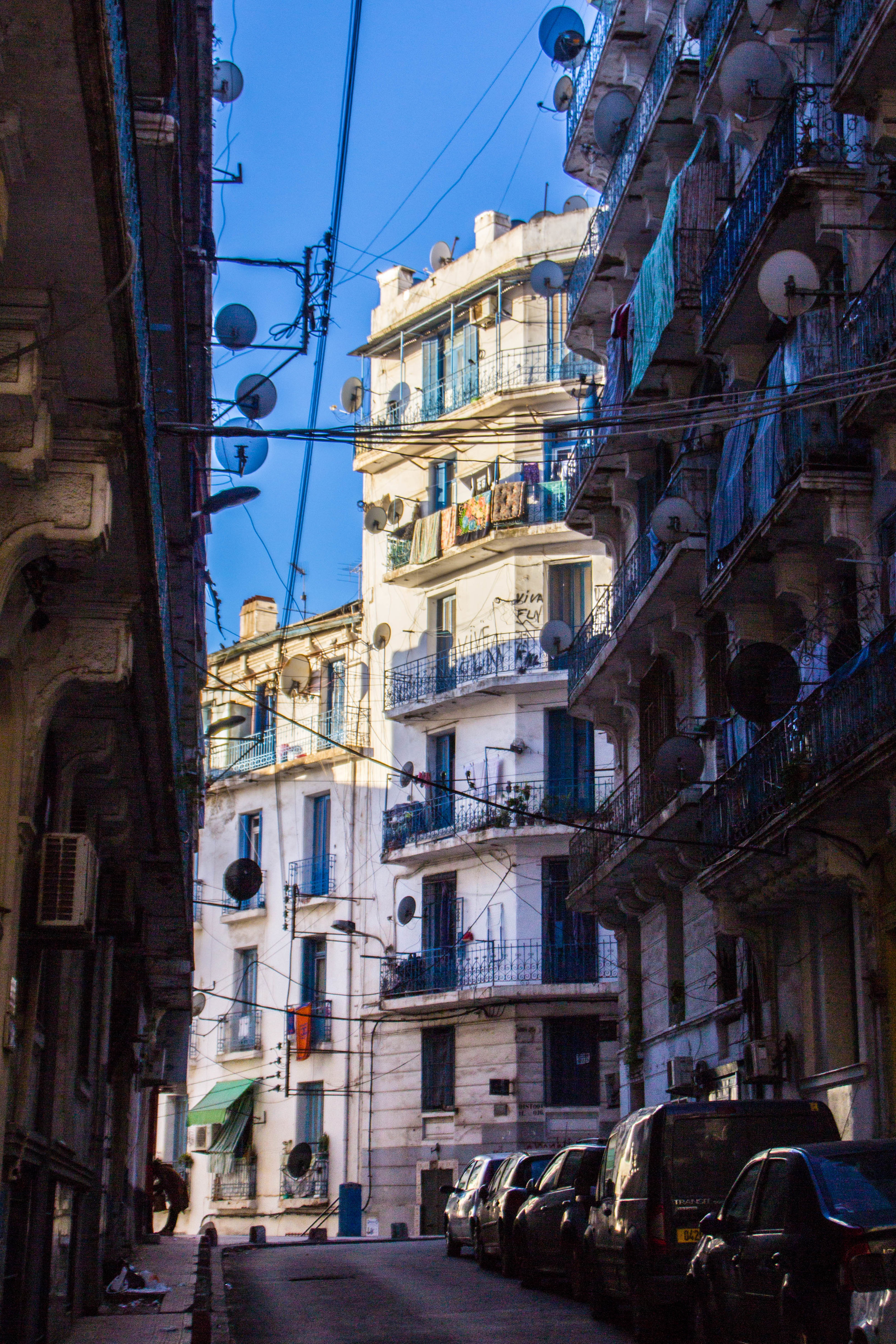 Peter In Algiers: An Introduction | Peter's Big Adventure