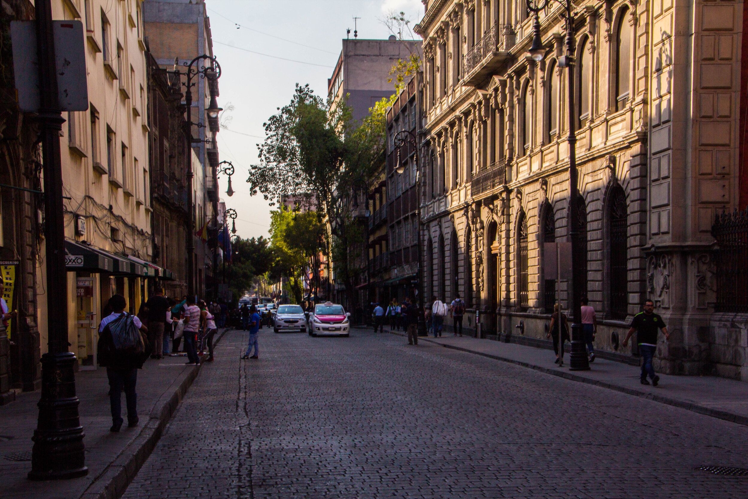 Peter Gets To Know His Neighbors: An Intro To Mexico City | Peter's Big ...