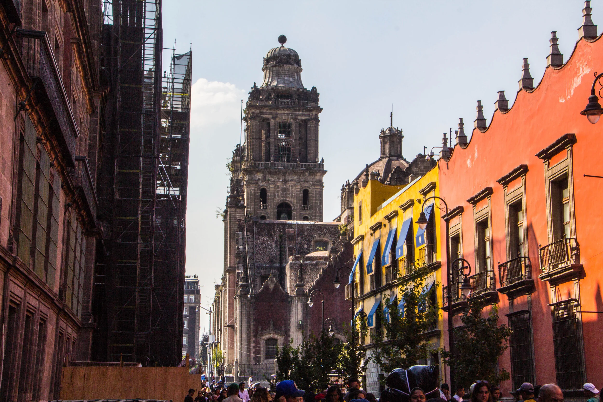 Peter Gets To Know His Neighbors: An Intro To Mexico City | Peter's Big ...