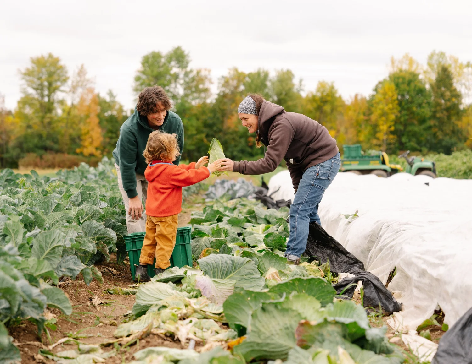 Mission & Vision — Intervale Center