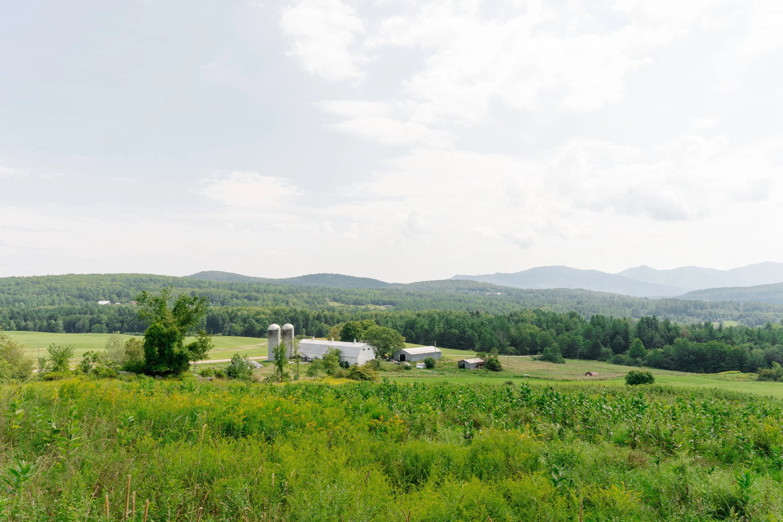 Mission & Vision — Intervale Center