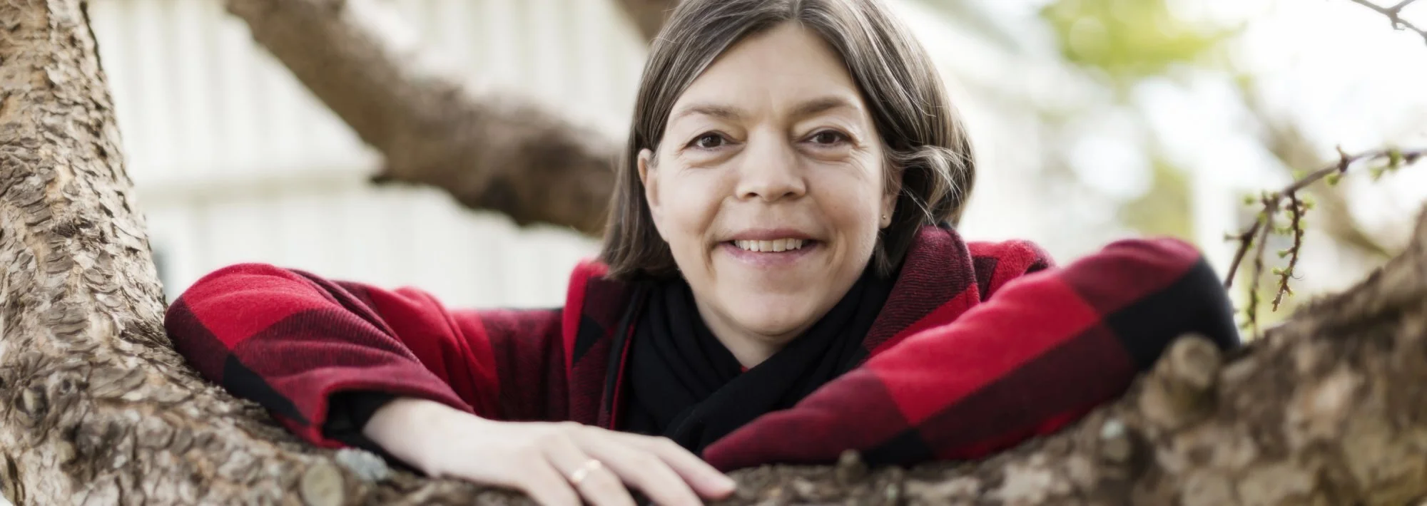 Katarina Nolsøe — FarLit