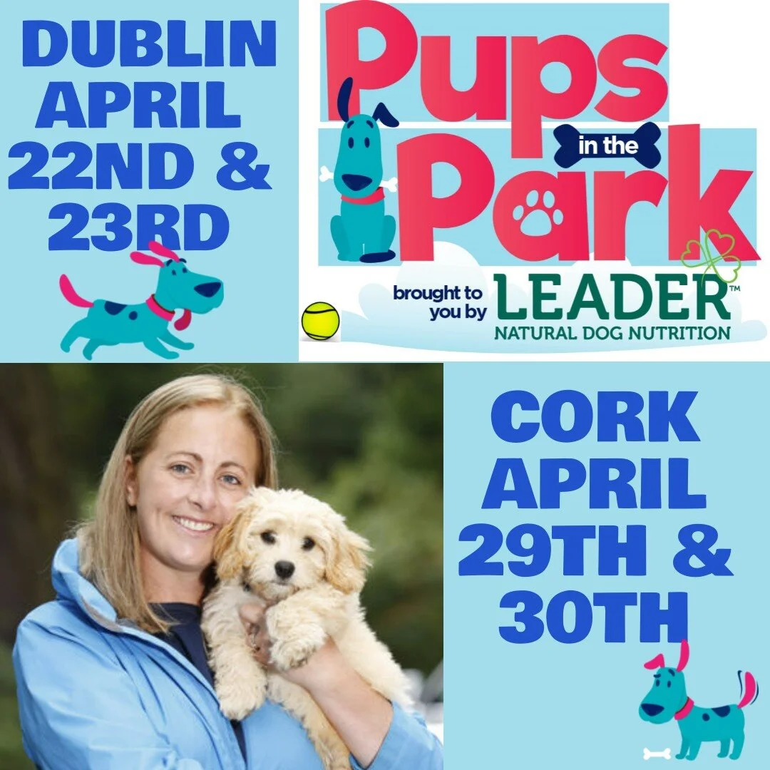 Dog Behaviour & Training Dublin