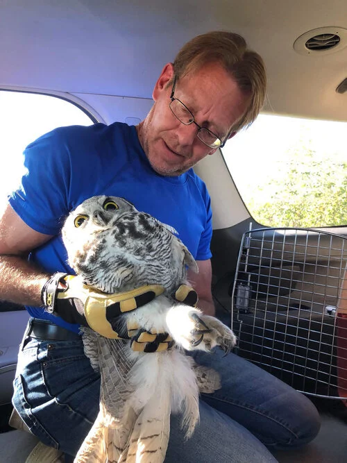 Who We Are Saving Grace Animal Society who-we-are-saving-grace-animal-society