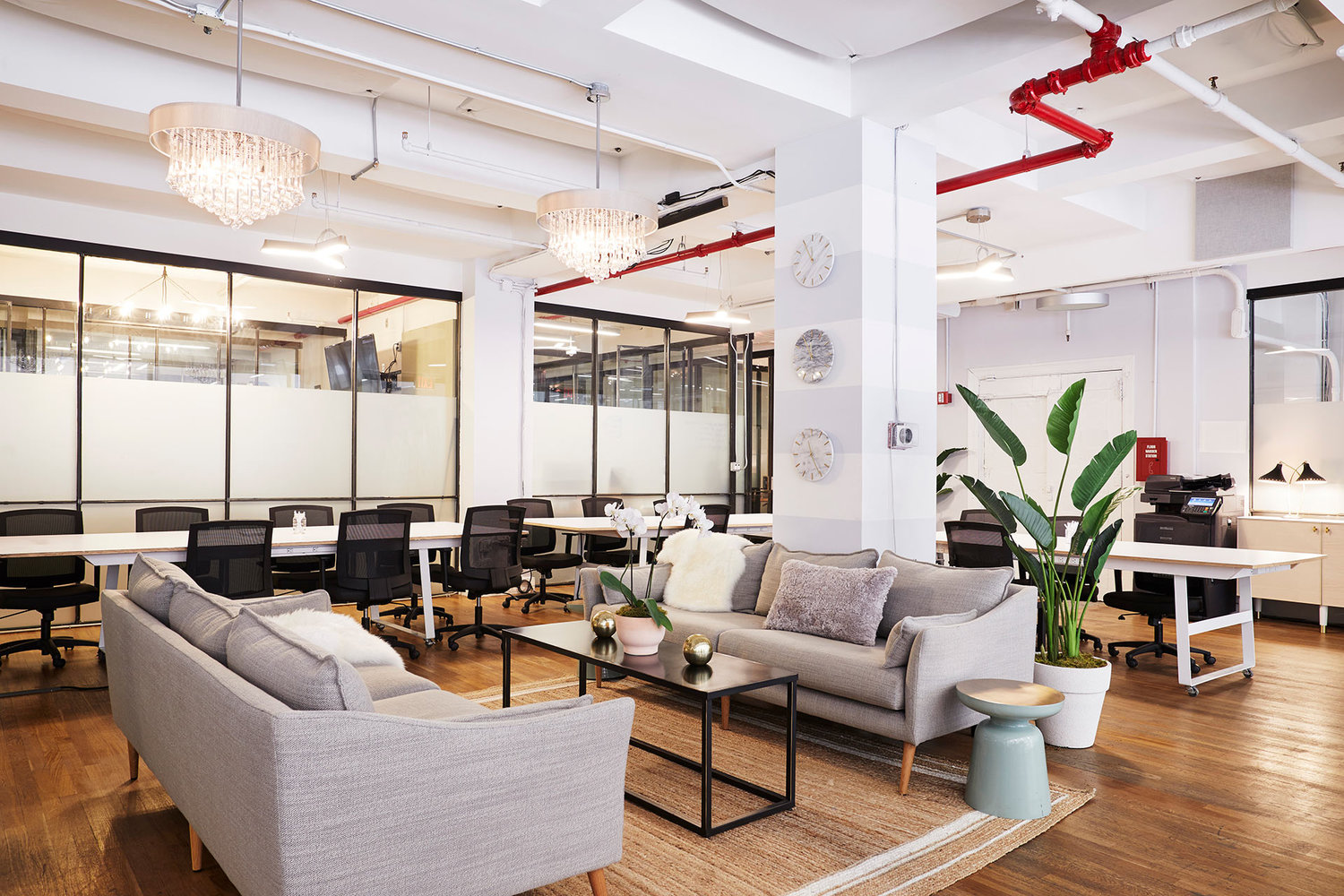 Open Office Floor Plan Layout