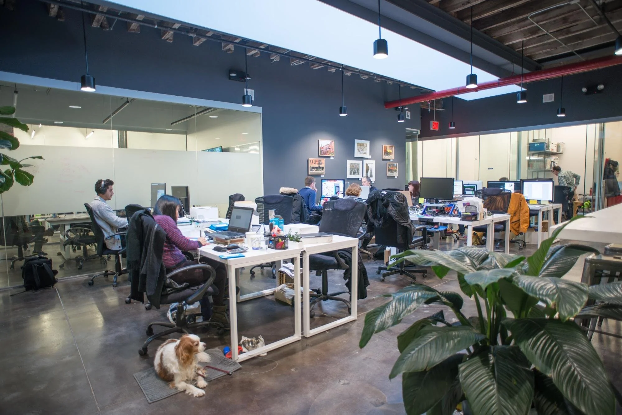 Temporary Office Space: What Is It And Is It Right For Your Team ...