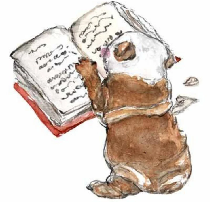 Puppy Training 101 Guide: How to Train a New Puppy — New Puppy Training 101