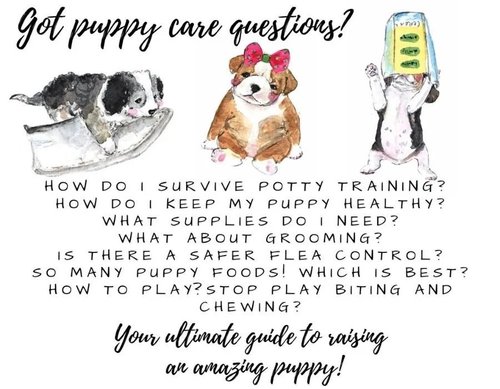 New Puppy Training 101