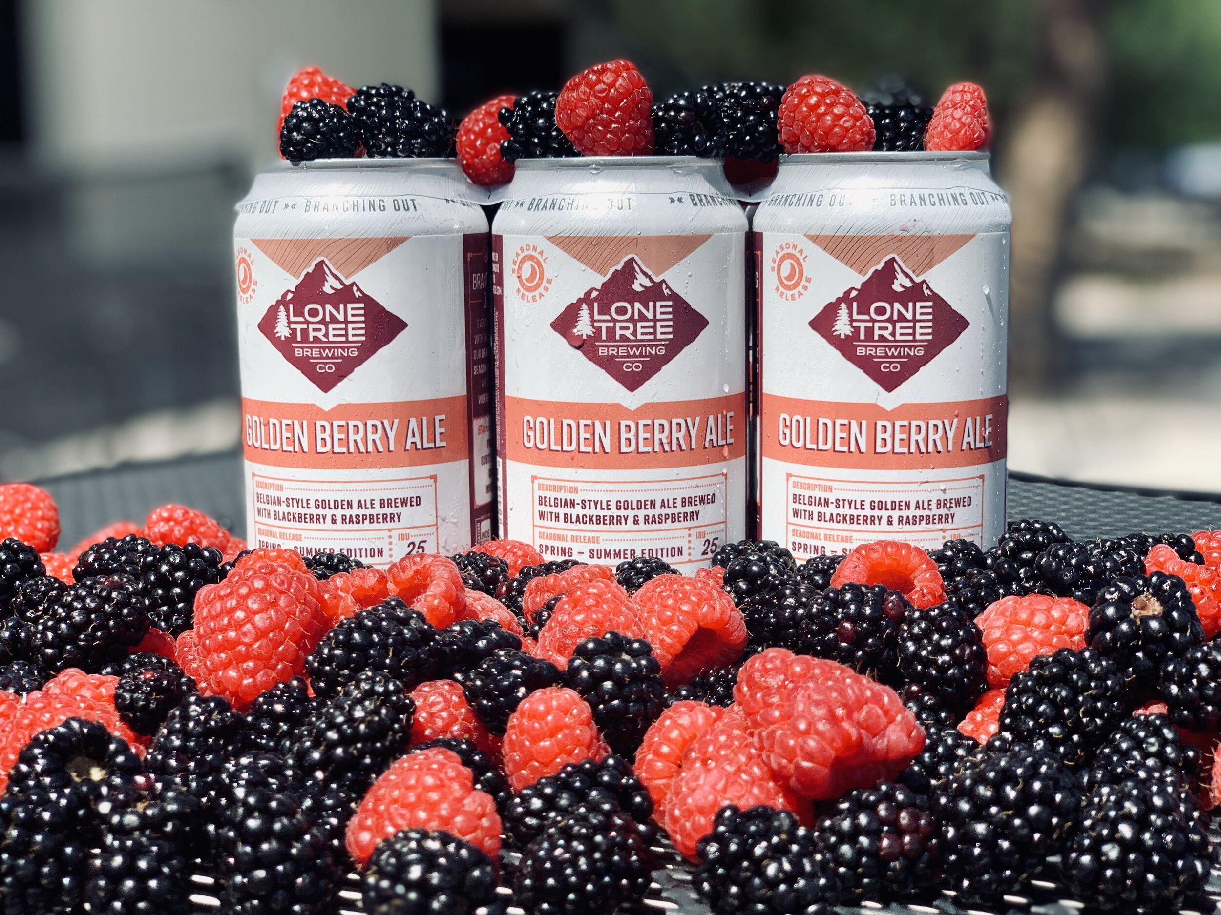 Lone Tree fruit beer — NEWS — RadCraft