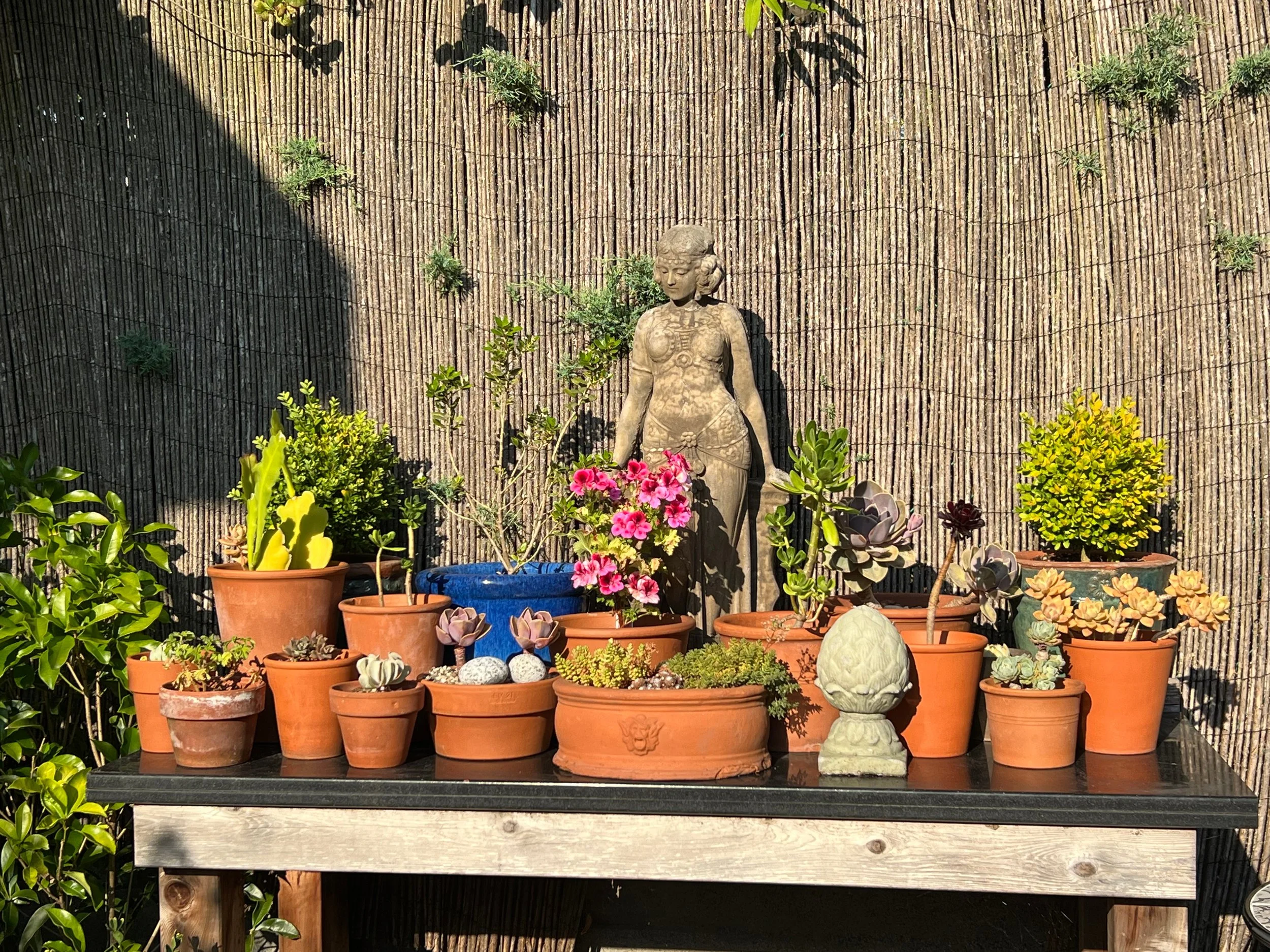 Pollinator Patch — West Seattle Garden Tour