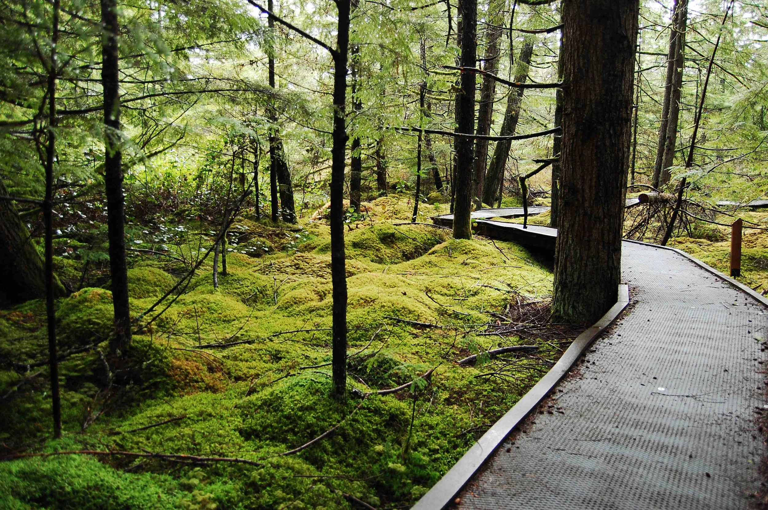 Grant Recipients — West Seattle Garden Tour