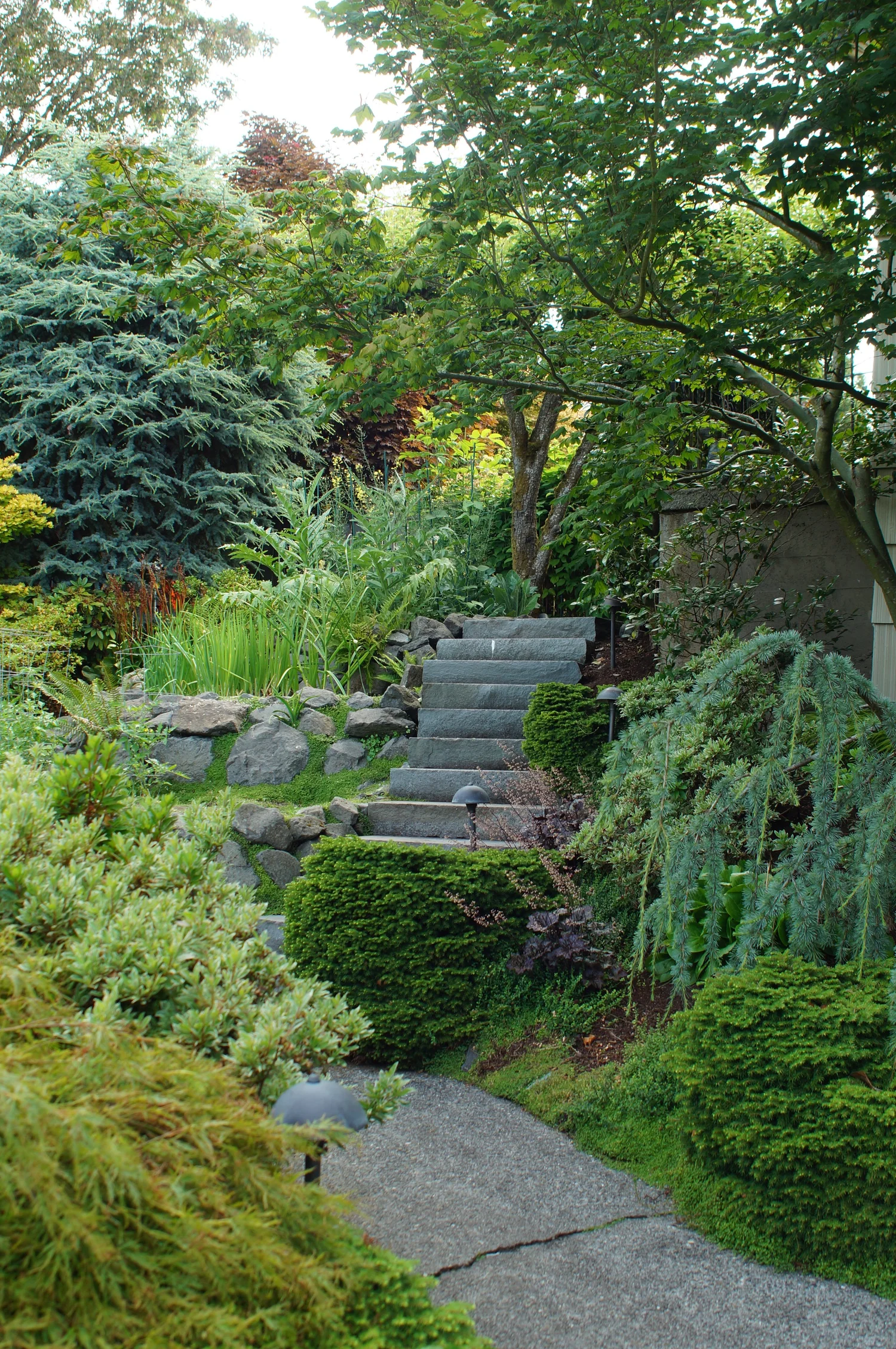 Living History — West Seattle Garden Tour