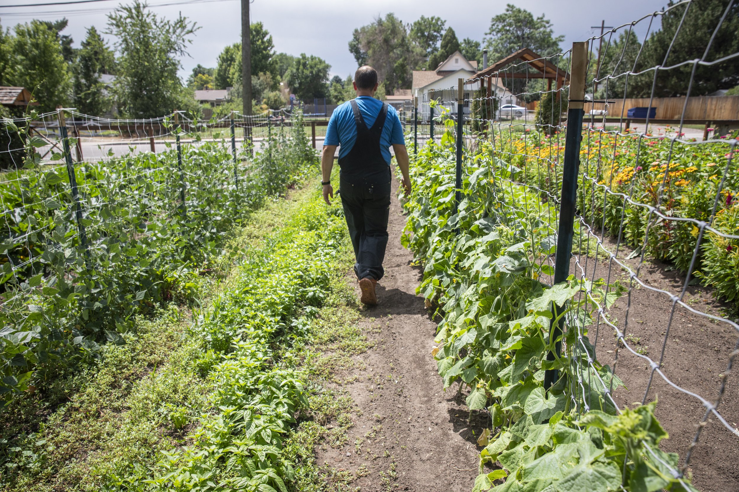 HARVEST SHARE — Roost Farms