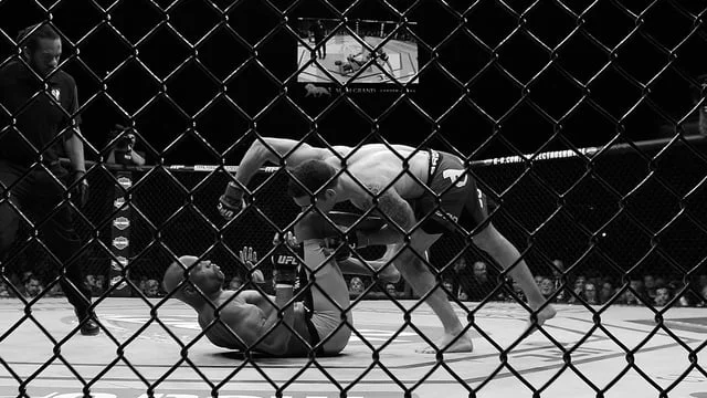 Ufc Cage Fence