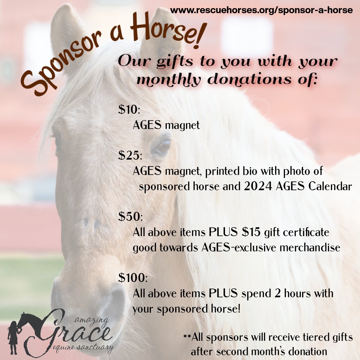 Amazing Grace Equine Sanctuary