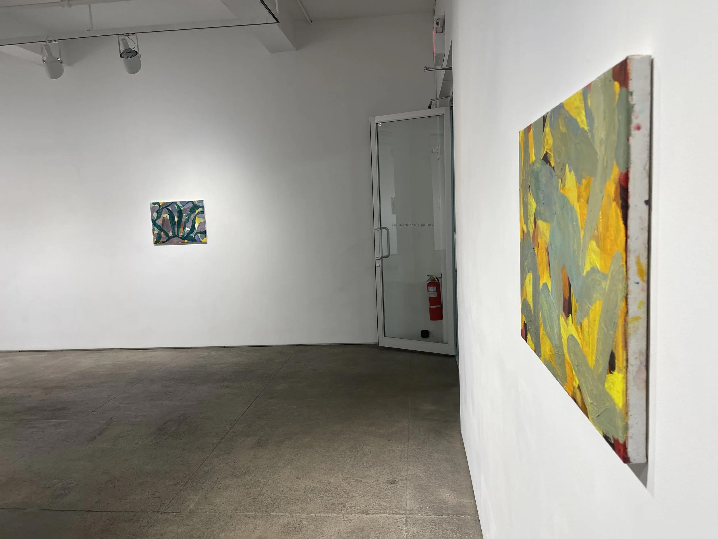 Bjarne Installation — elizabeth harris gallery