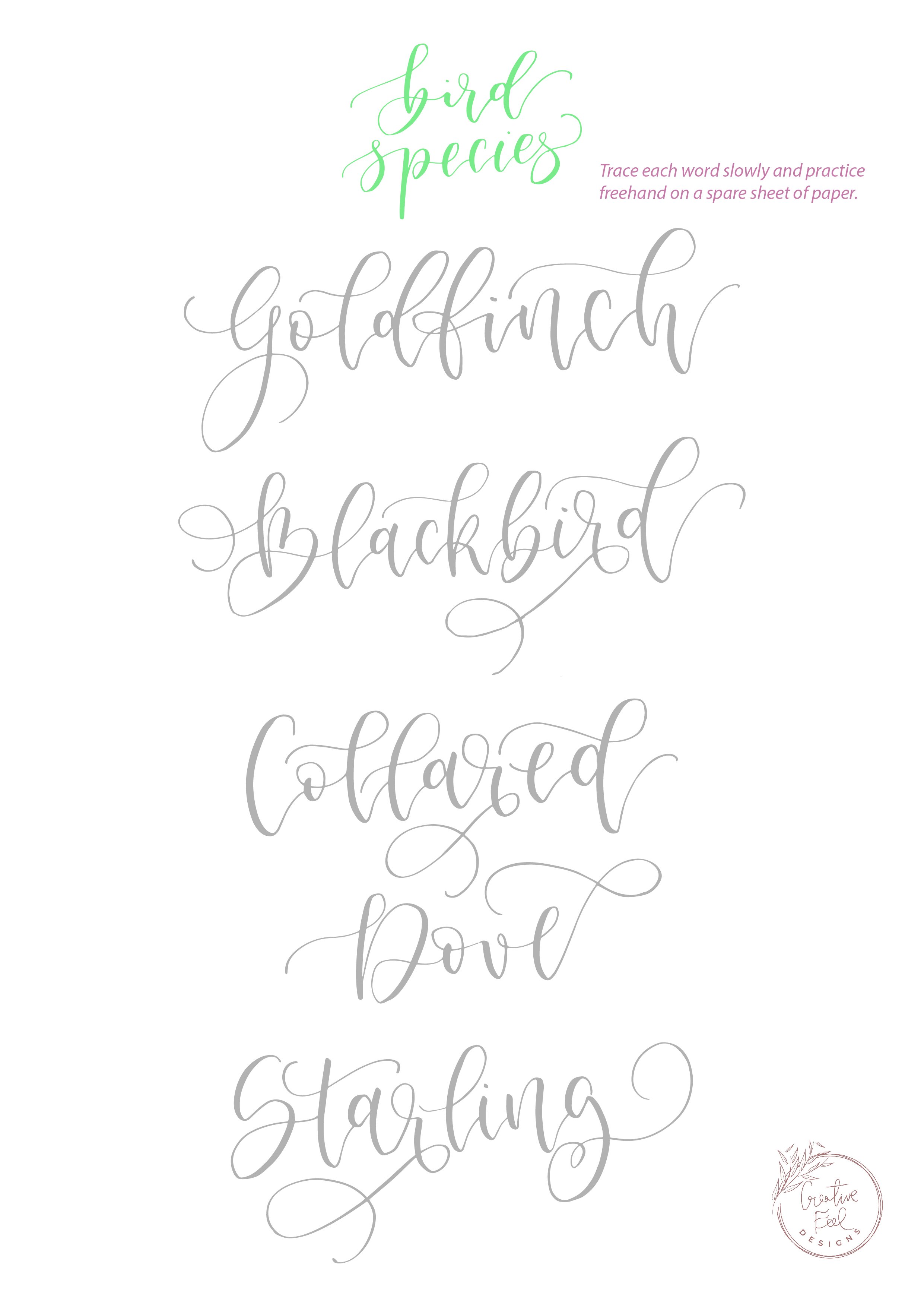 Calligraphy Practice Sheets Freebie *flourishing theme* - Modern ...