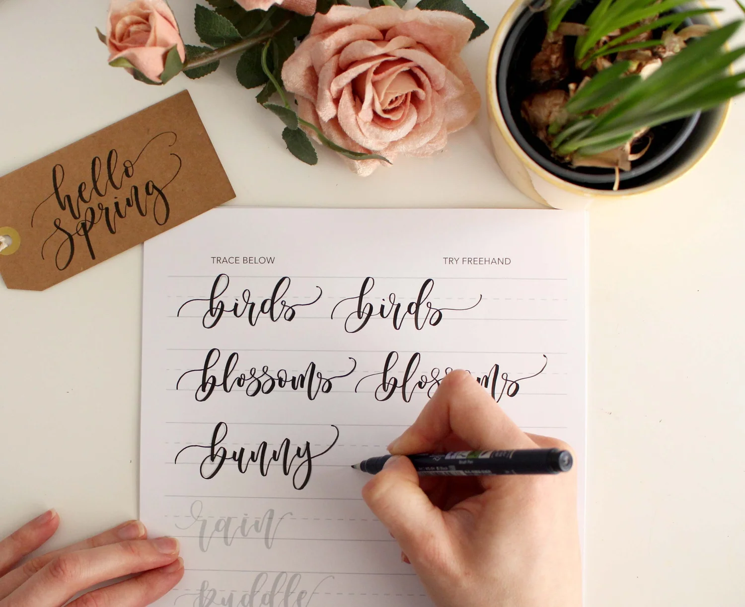 limited offer - Modern Calligraphy Courses and Resources