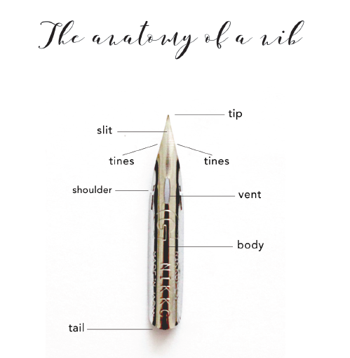Pointed Pen Calligraphy Tips - Scratchy Nibs - Modern Calligraphy ...