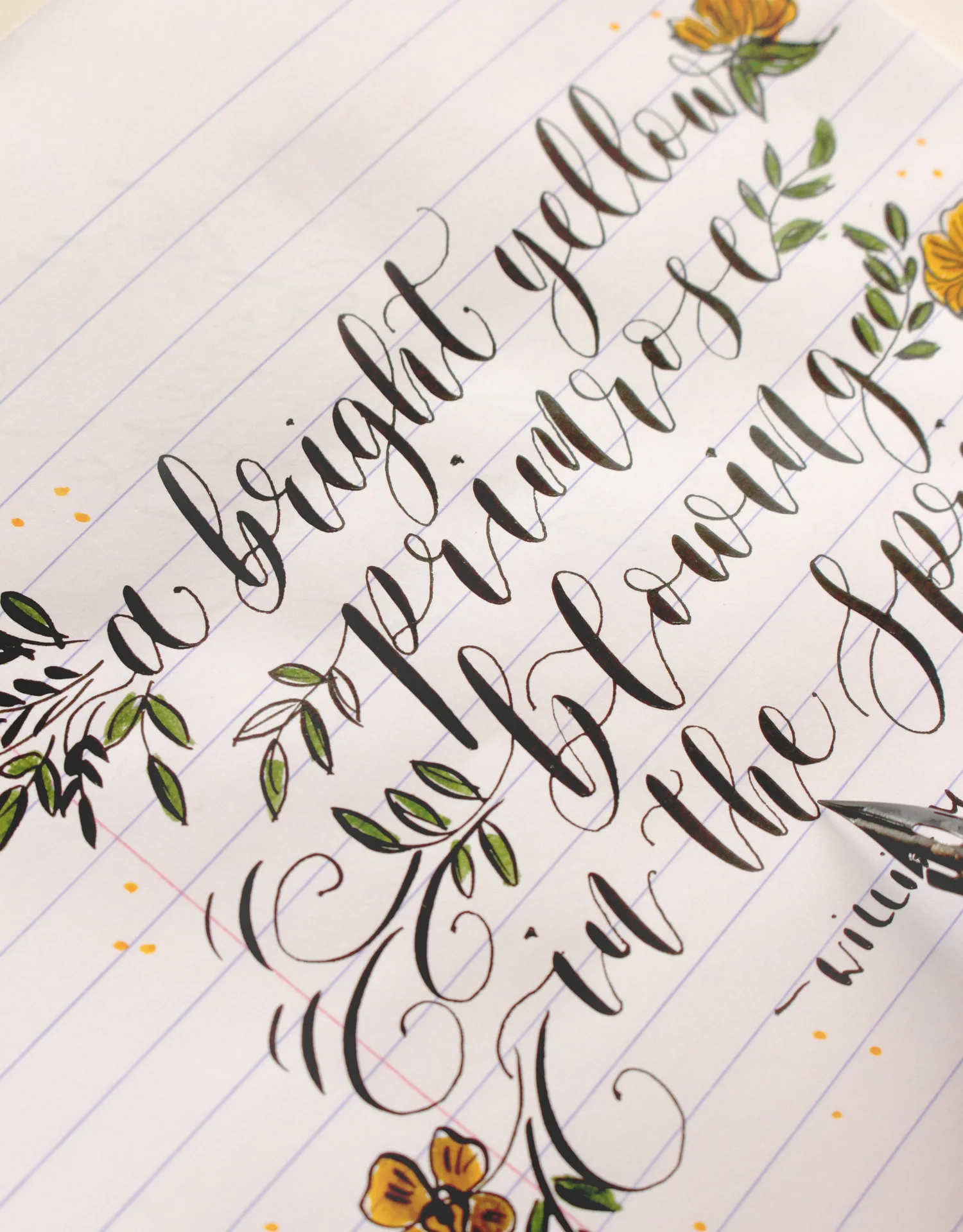 Modern Calligraphy Courses and Resources
