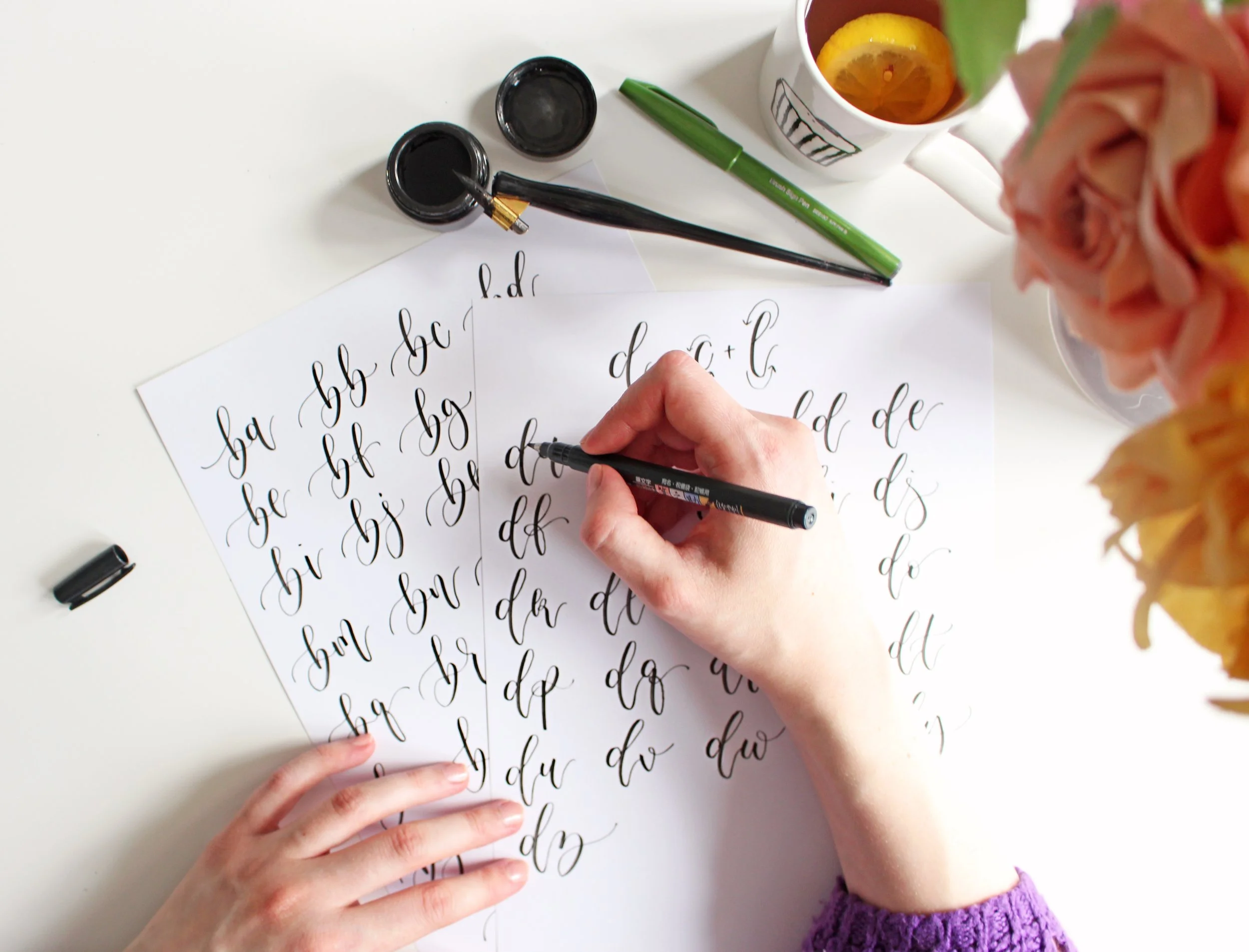 Modern Calligraphy Courses and Resources