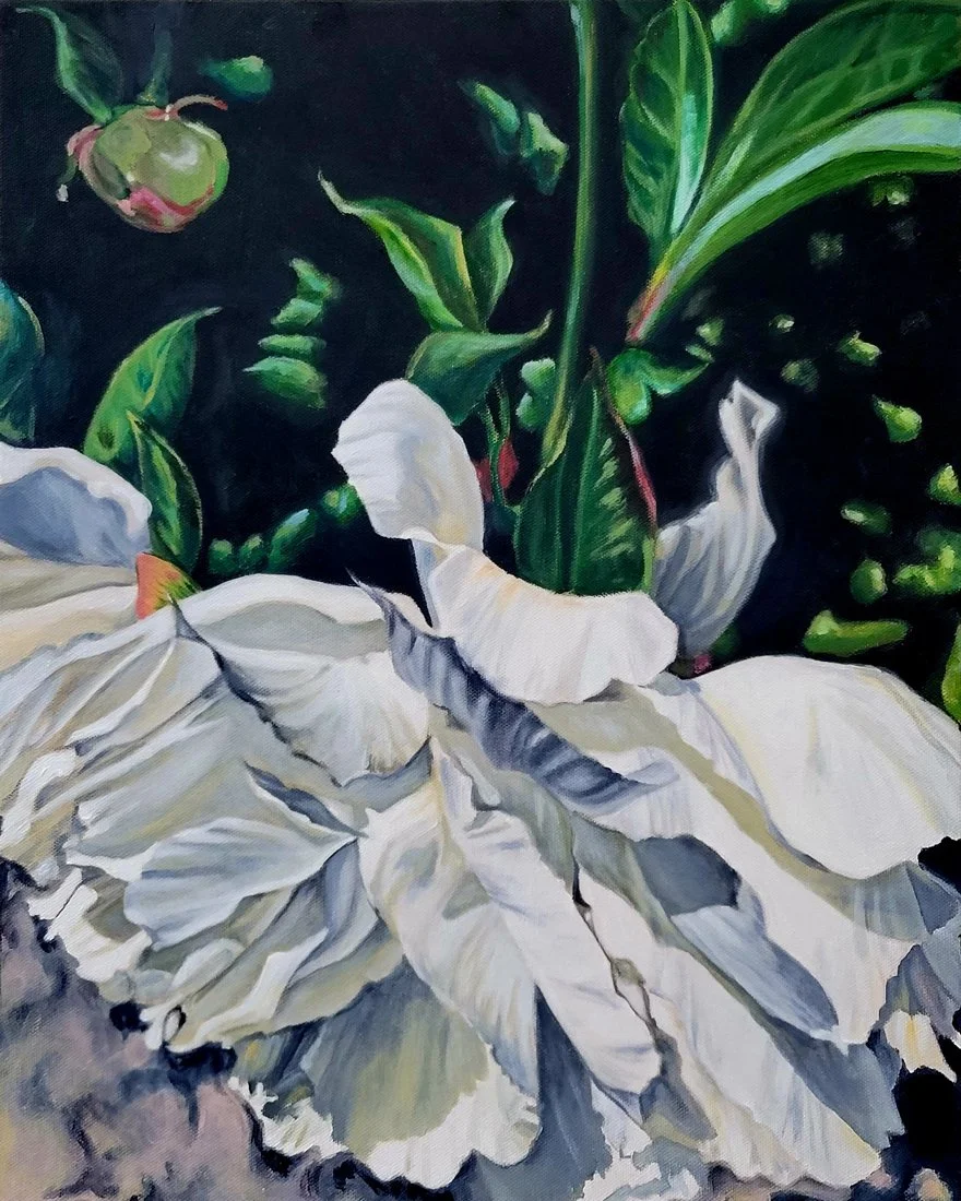 Map — Open Studios Tour Roanoke