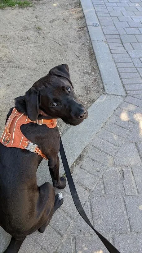 Blog — Toronto's finest