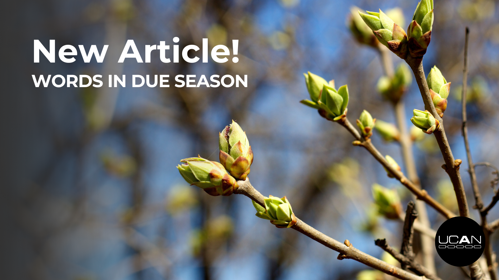 Article - Words in Due Season — UCAN | UK Church Administrators Network