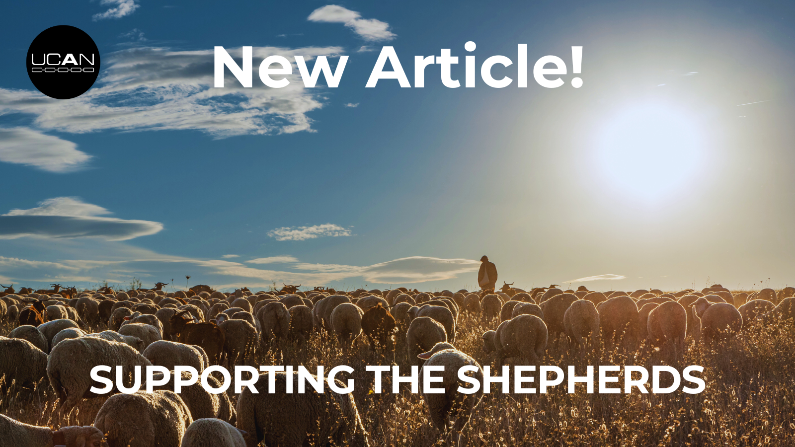 Article - Supporting the Shepherds — UCAN | UK Church Administrators ...