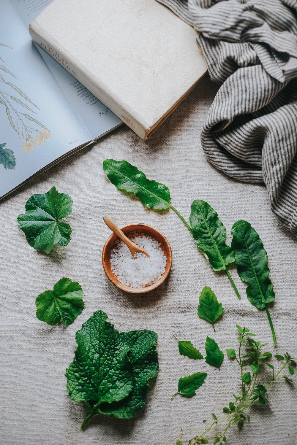 A foraged soup stock — OLIVE TREES + MOON