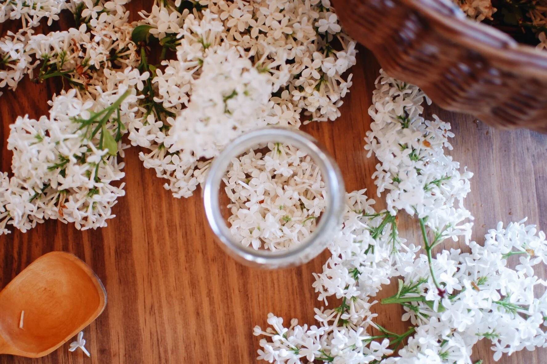 A springtime flower honey — OLIVE TREES + MOON