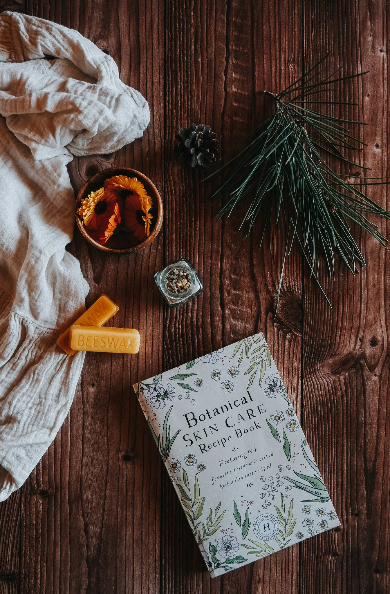 Pine resin salve — OLIVE TREES + MOON