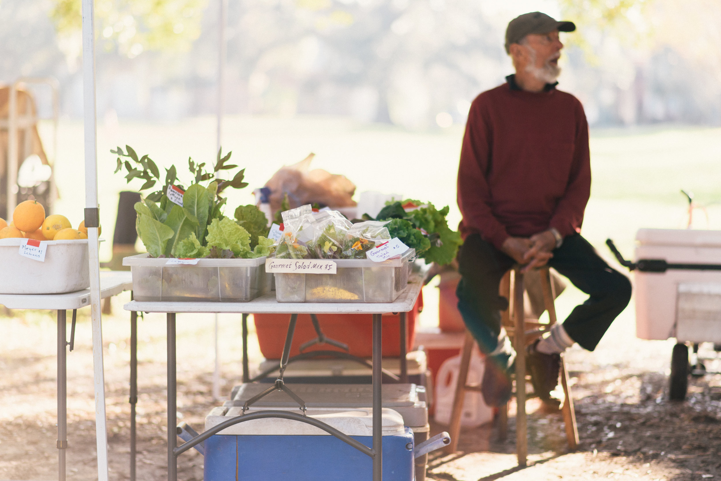 Forsyth Farmers Market In Savannah, Georgia