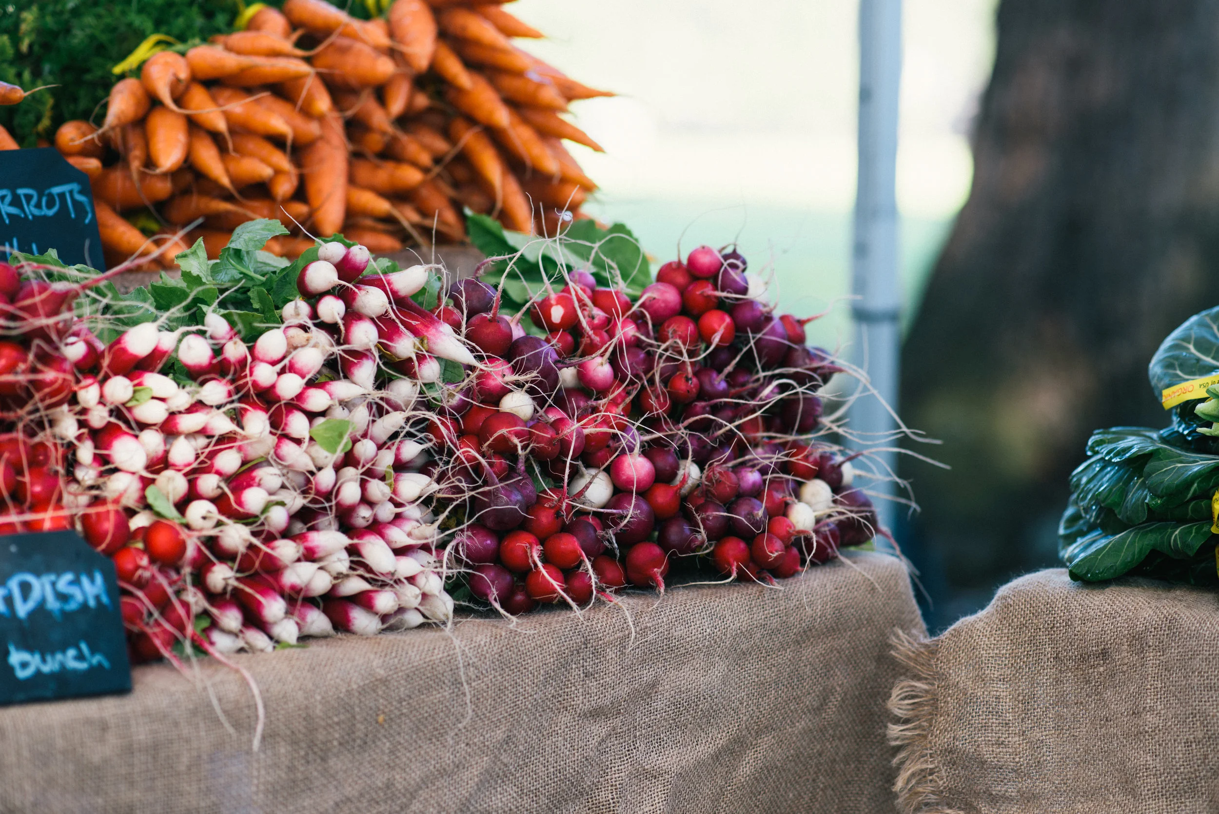 Forsyth Farmers Market In Savannah, Georgia