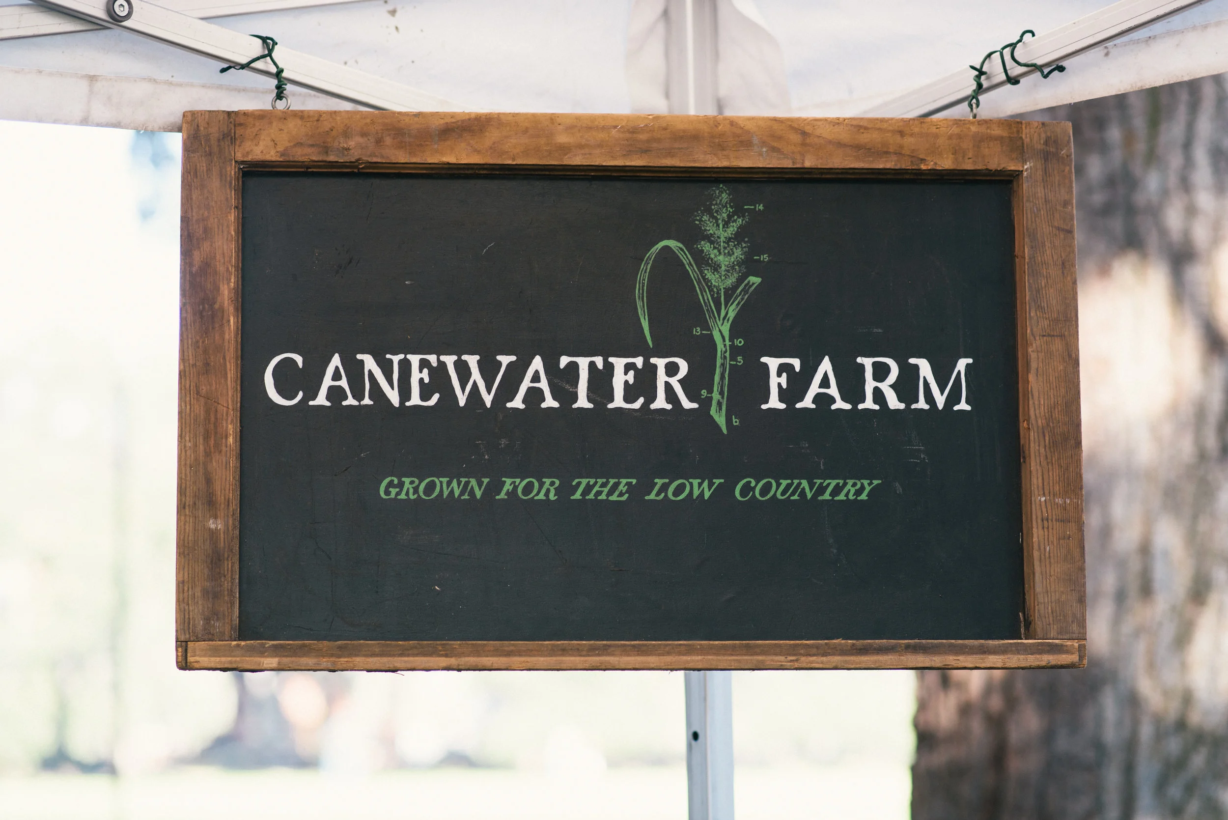 Forsyth Farmers Market In Savannah, Georgia