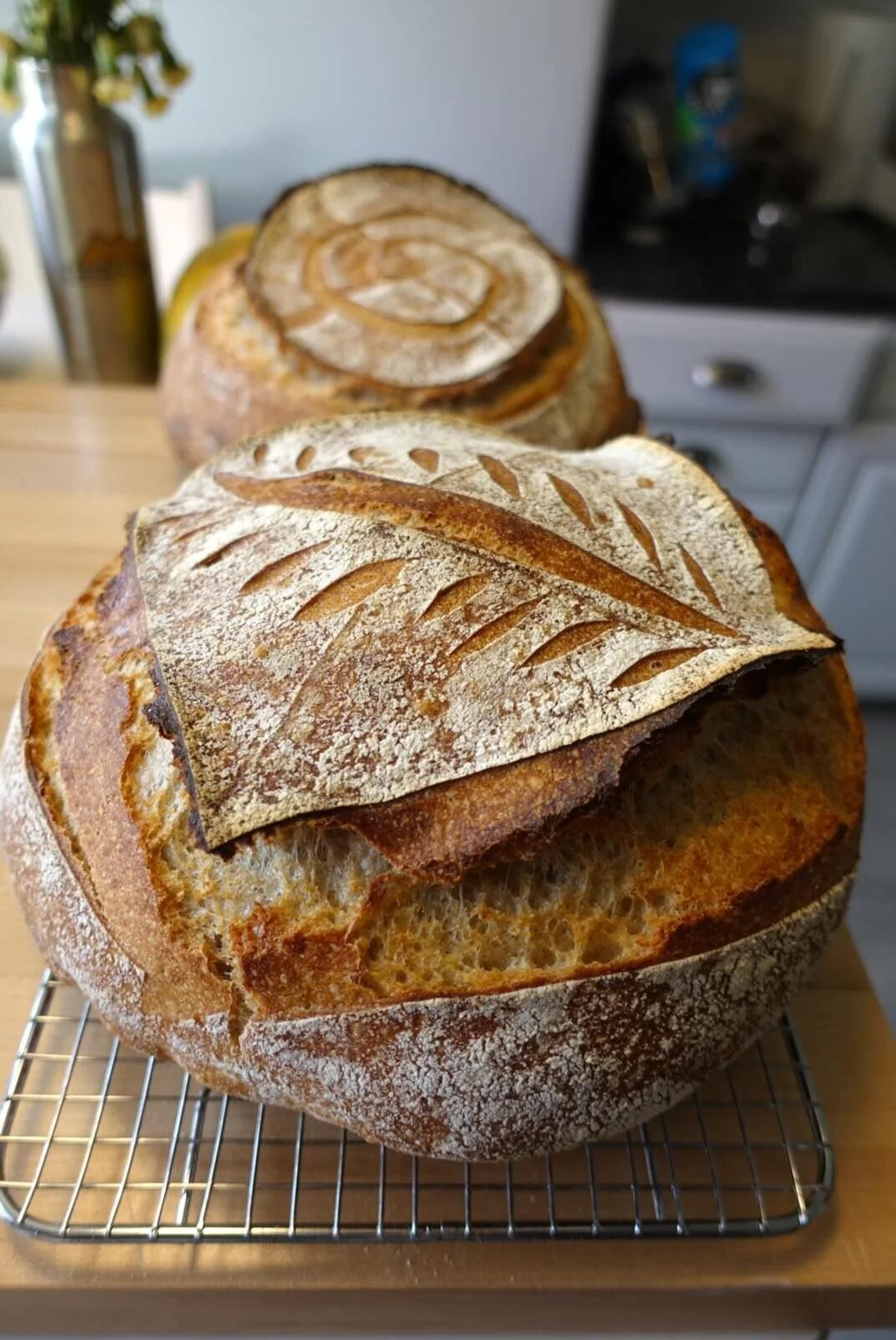 our blog on climbing, travel, and life | alpha climbing