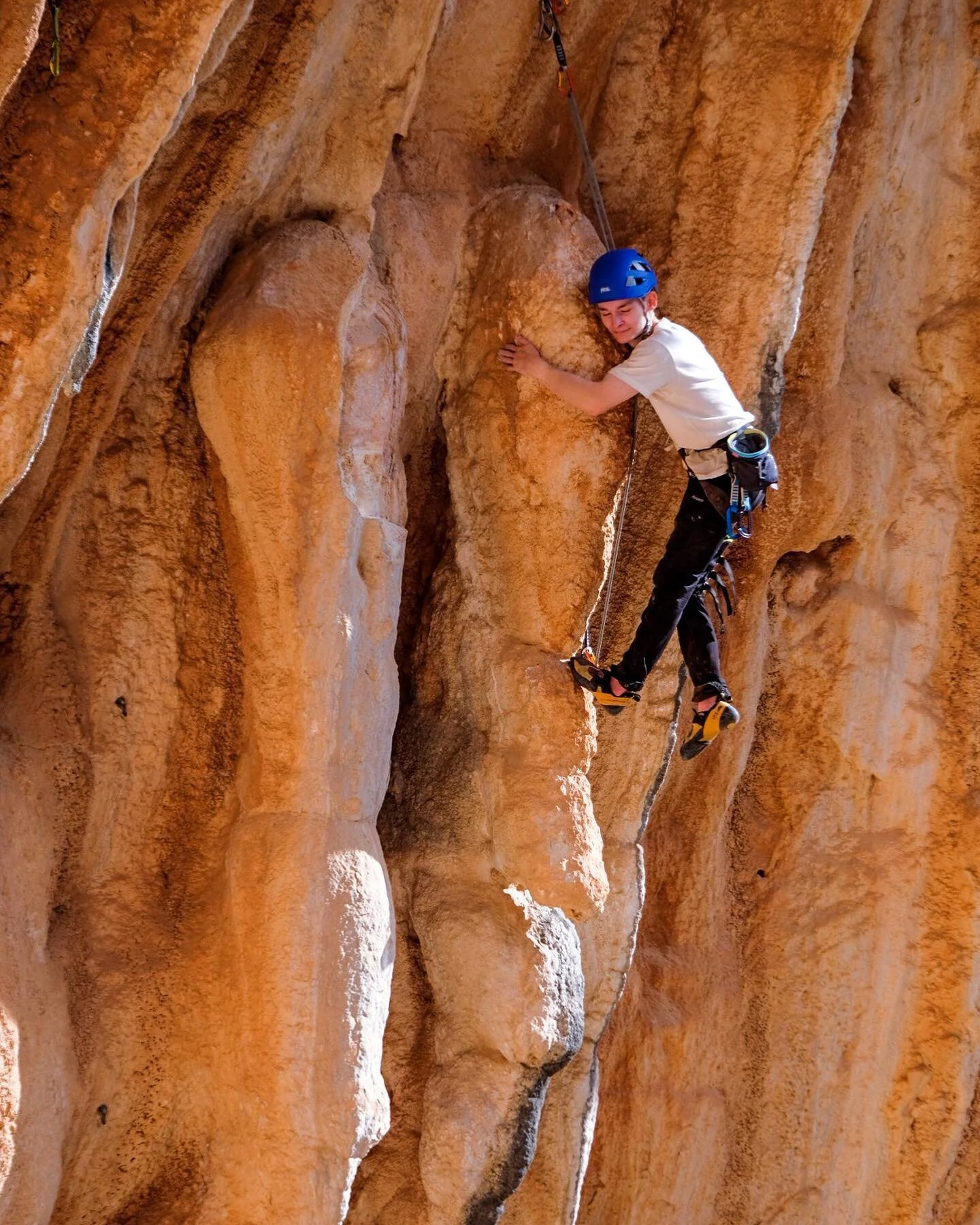 performance rock climbing programs | alpha climbing