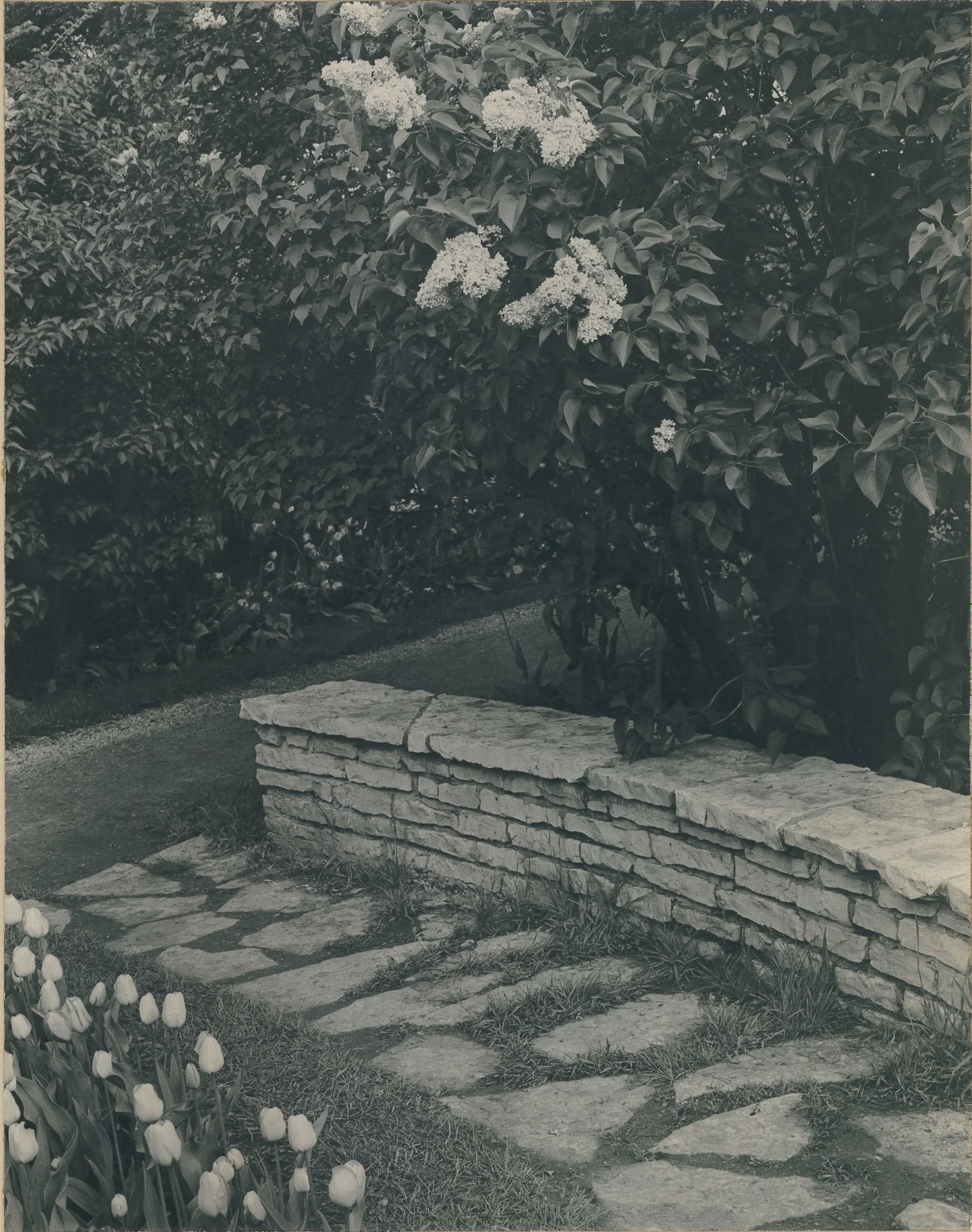 A Look at Lilacia Park - Jens Jensen — Lombard Historical Society