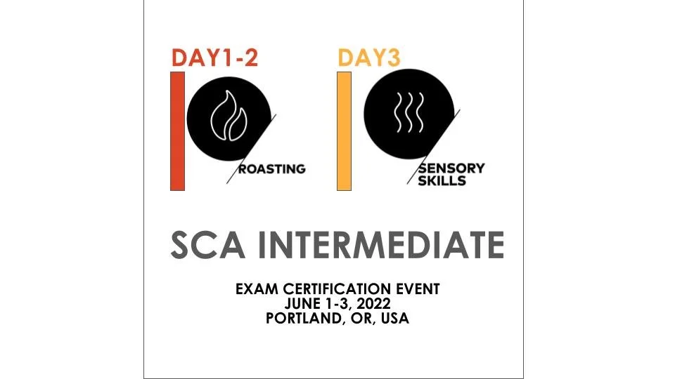 SCA Sensory Skills Intermediate Certification — ROCC