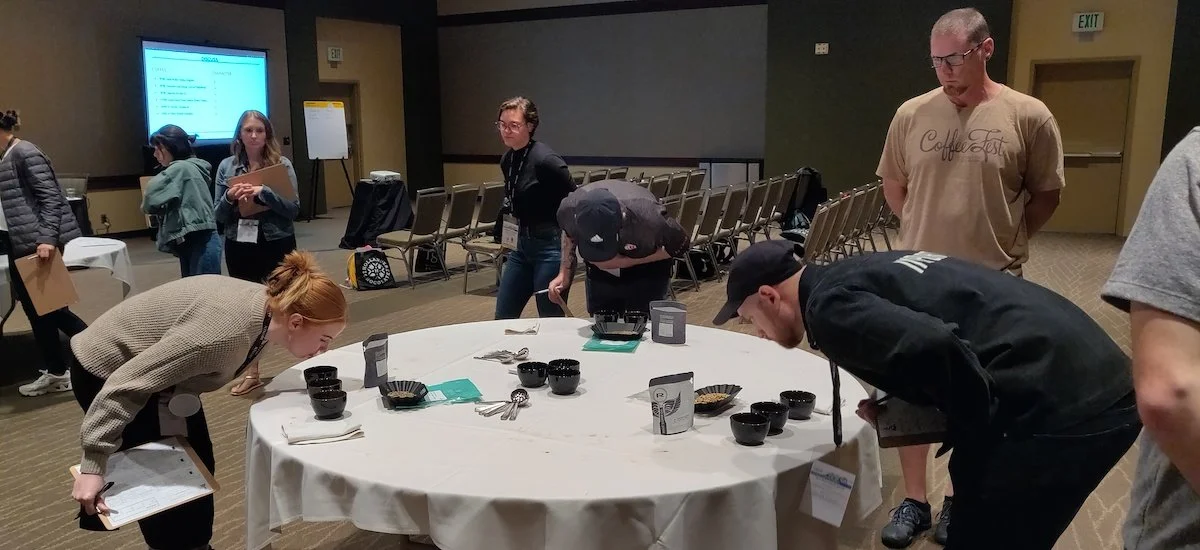 Cupping — Specialty Coffee Training - From Green to Cup - Online — ROCC